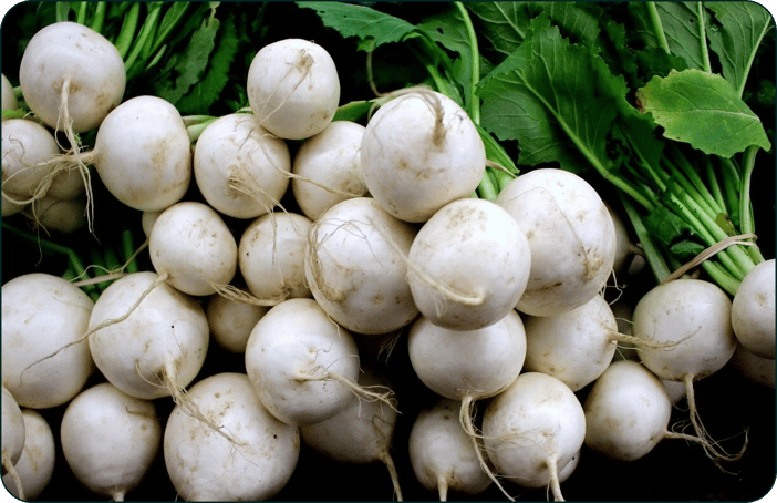 Todo lo que tienes que saber sobre el nabo