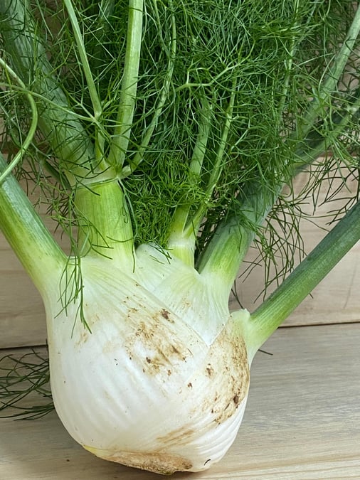 El fonoll: beneficis i receptes fàcils per gaudir-lo