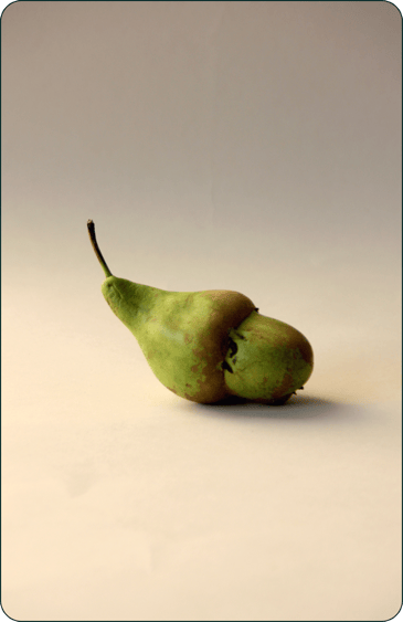 Beneficios y propiedades de la ciruela