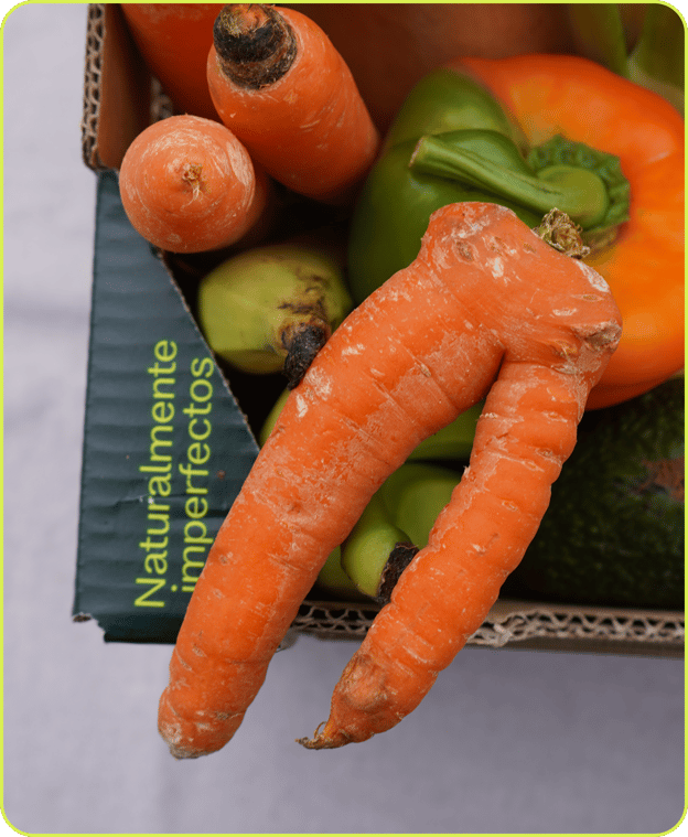 Frutas y verduras de febrero: recomendaciones de temporada