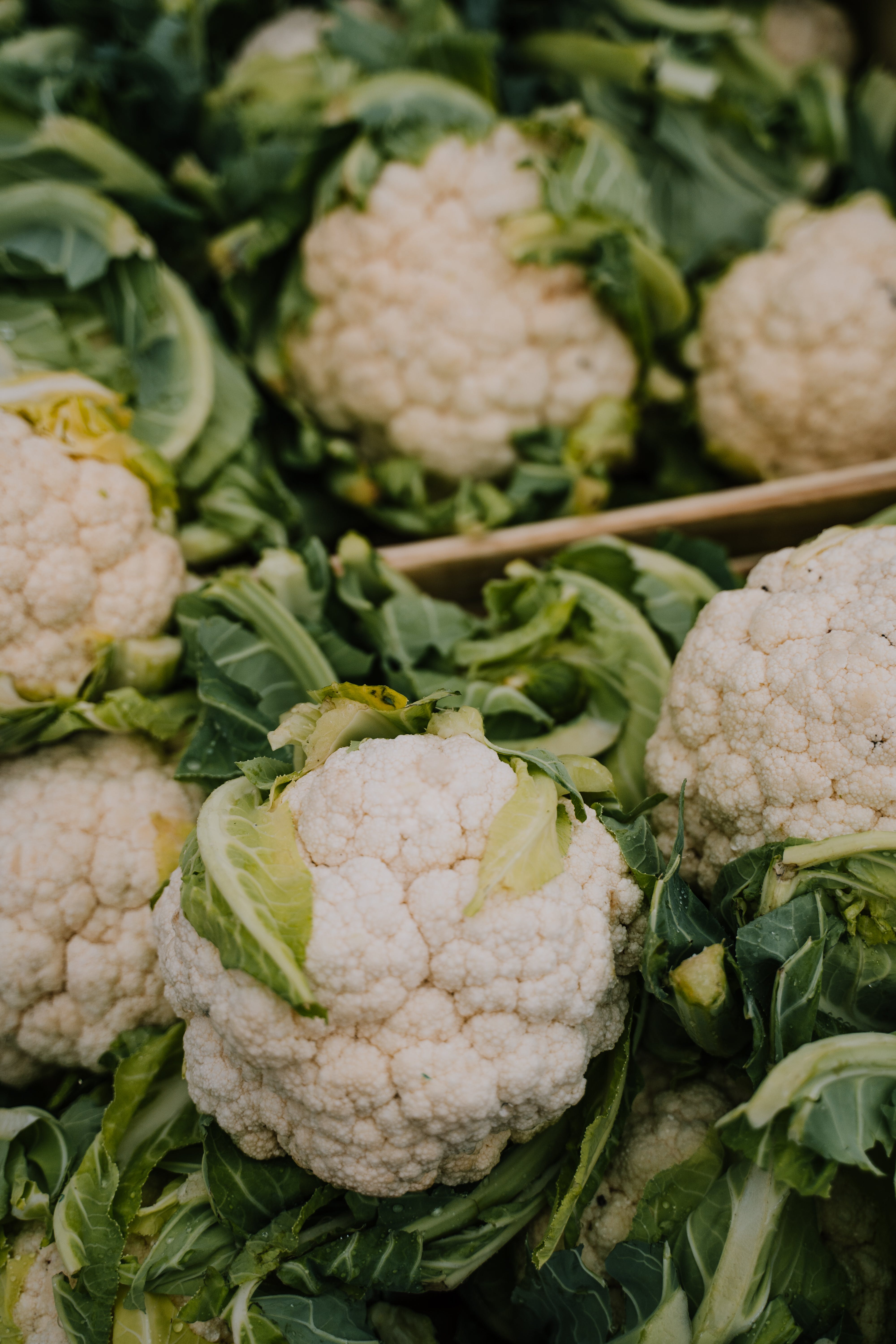 Propiedades y beneficios de la coliflor